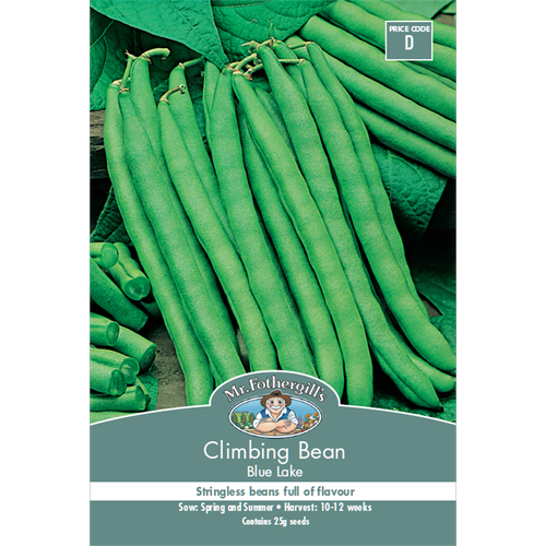 Climbing Bean Blue Lake – Village Hardware