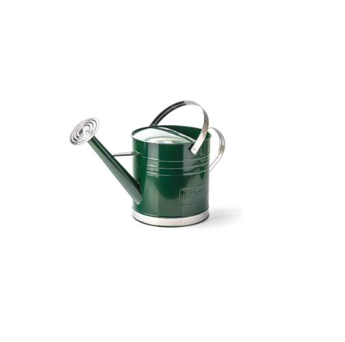 Watering Can with Rose, 9L, Green – Village Hardware